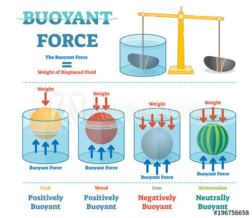 Archimedes Principle Of Buoyancy Story